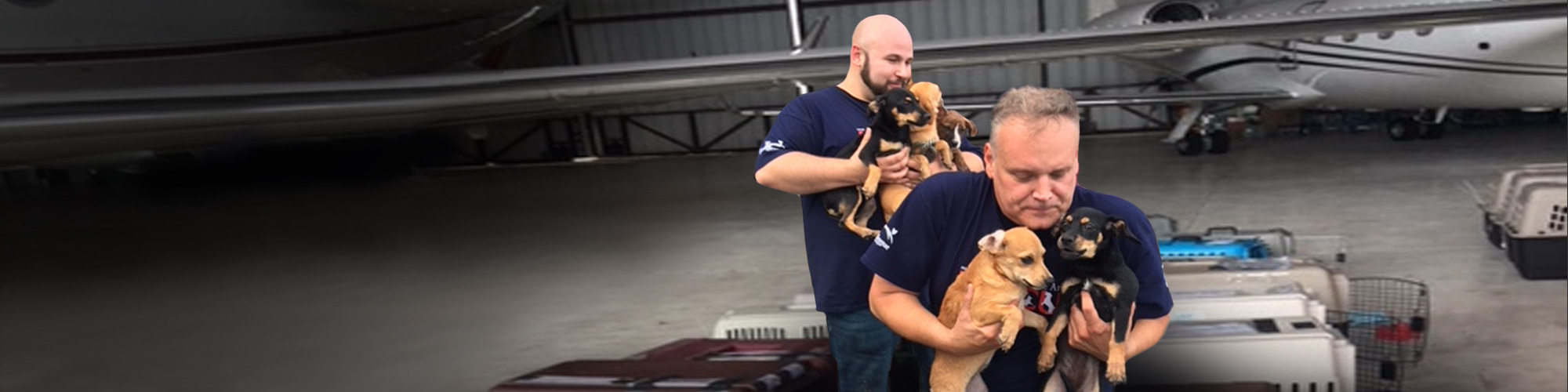 Puerto Rico Rescue Efforts | National Rescue | Animal League