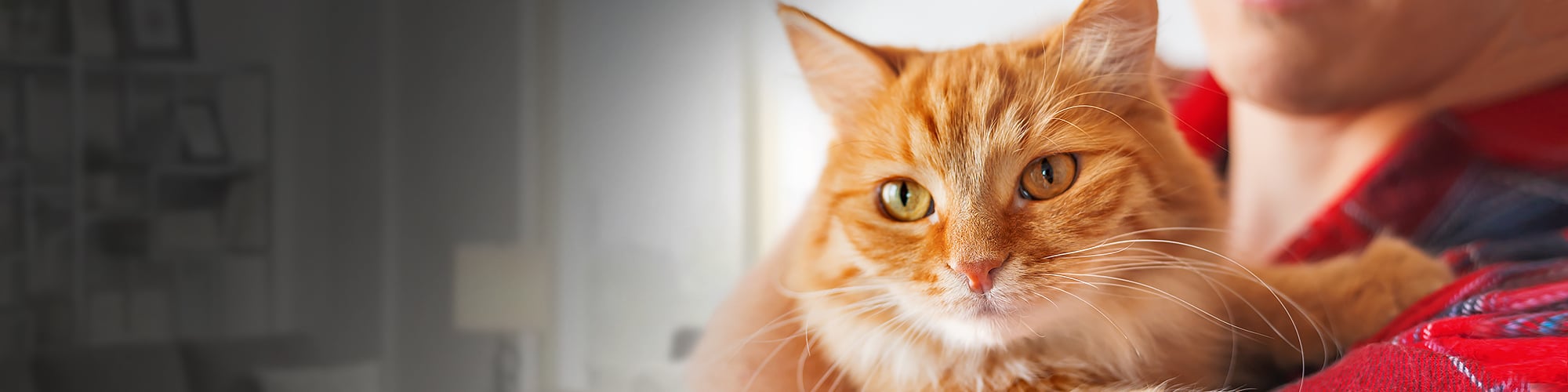 North Shore Animal League America | World's Largest Animal Rescue Org