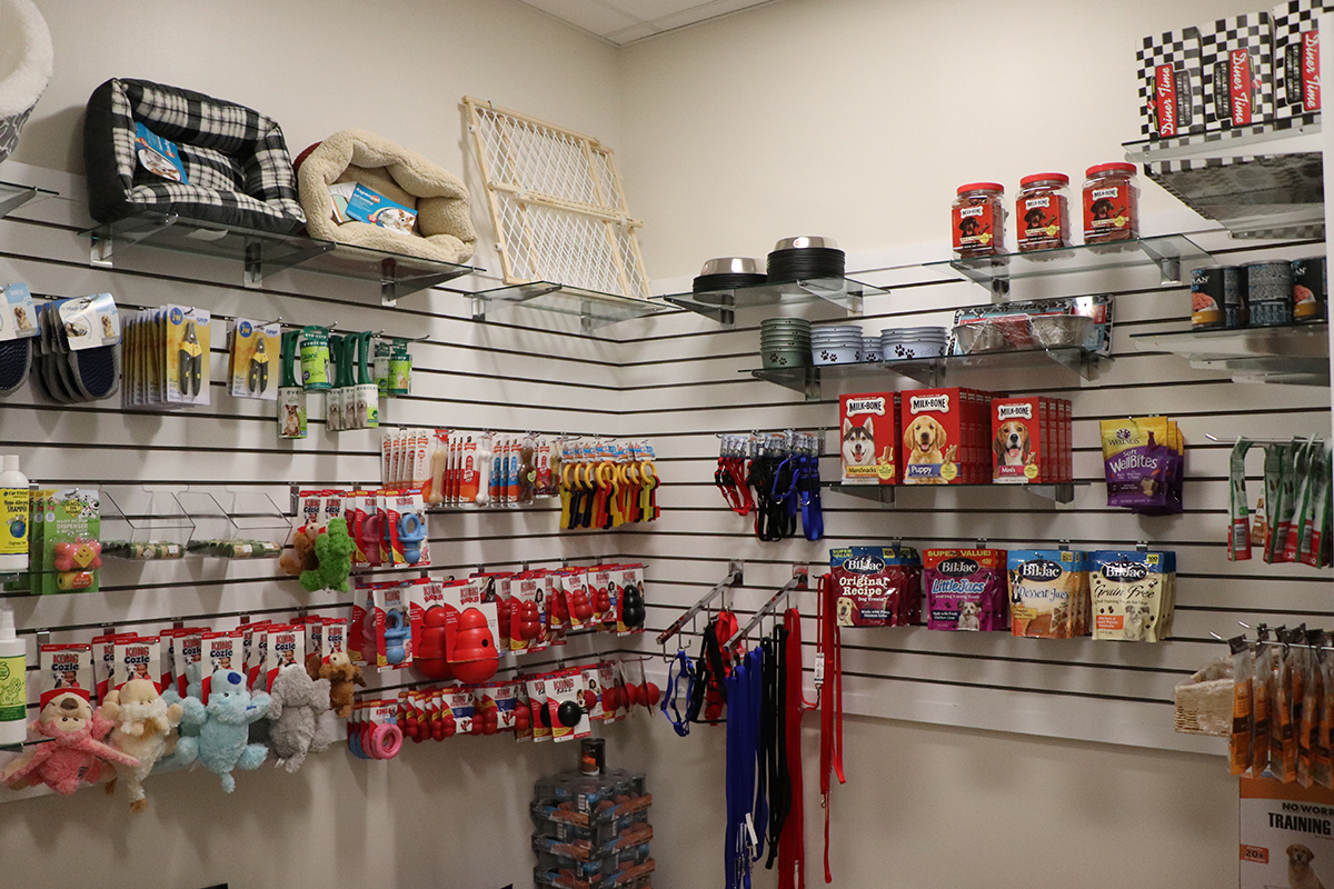 Pet Supplies For Dogs And Cats In Port Washington NY Animal League Pet Supplies For Dogs And Cats In Port Washington NY Animal League