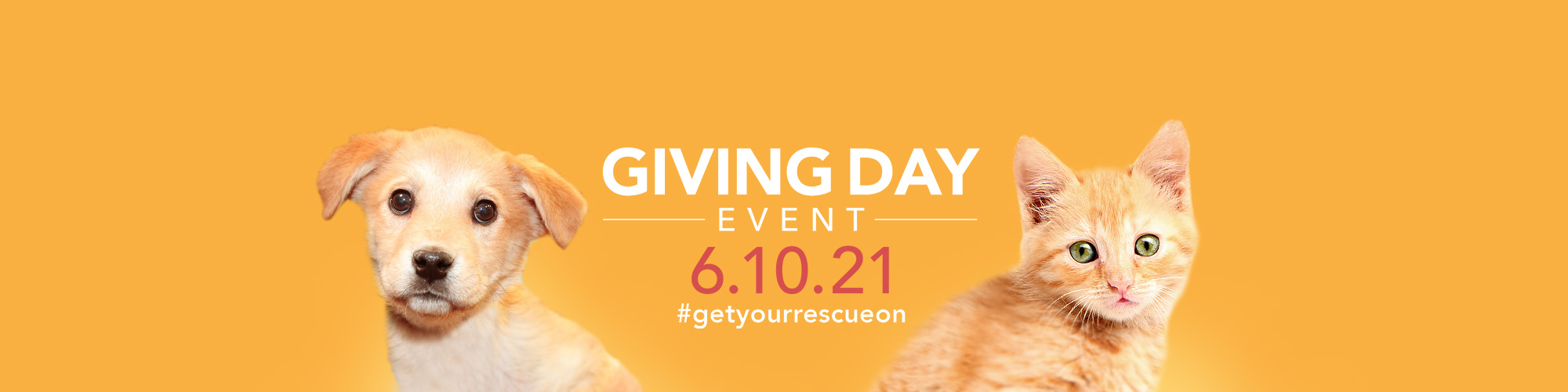 Animal League America Celebrates Giving Day | Animal League