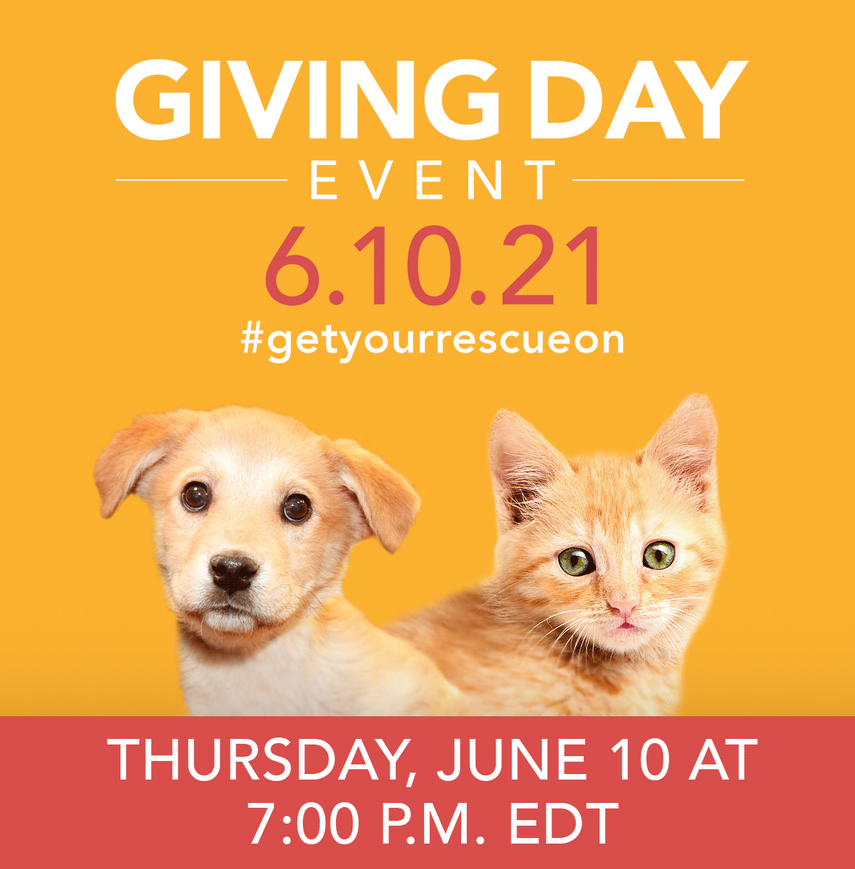 Animal League America Celebrates Giving Day | Animal League