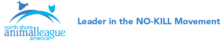 Can a Rescue Force Me to Adopt or Charge Me Fees if I Return a Foster ...