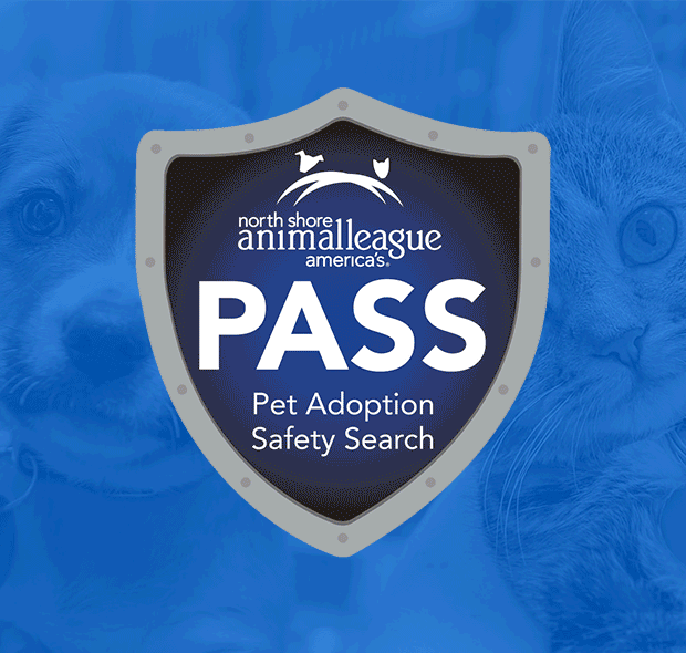PASS - Pet Adoption Safety Search | Animal League