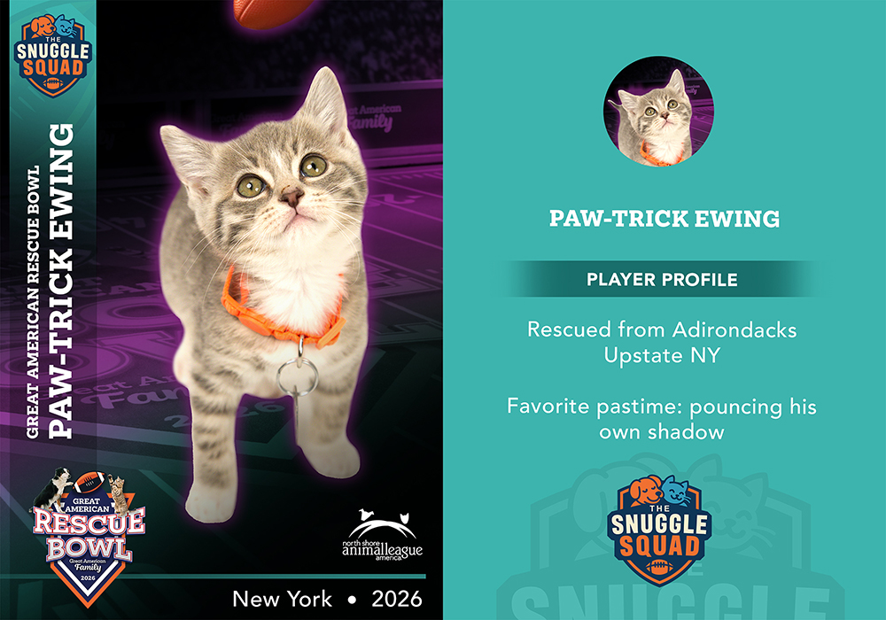 nsala_2026_garb_web_cards_ss_pawtrick_ewing | Animal League